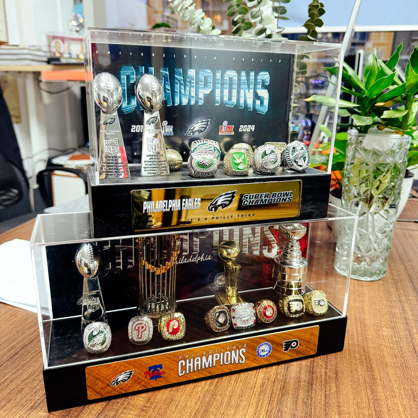 Philadelphia Championship Trophy and Rings Display Case – Stonesing