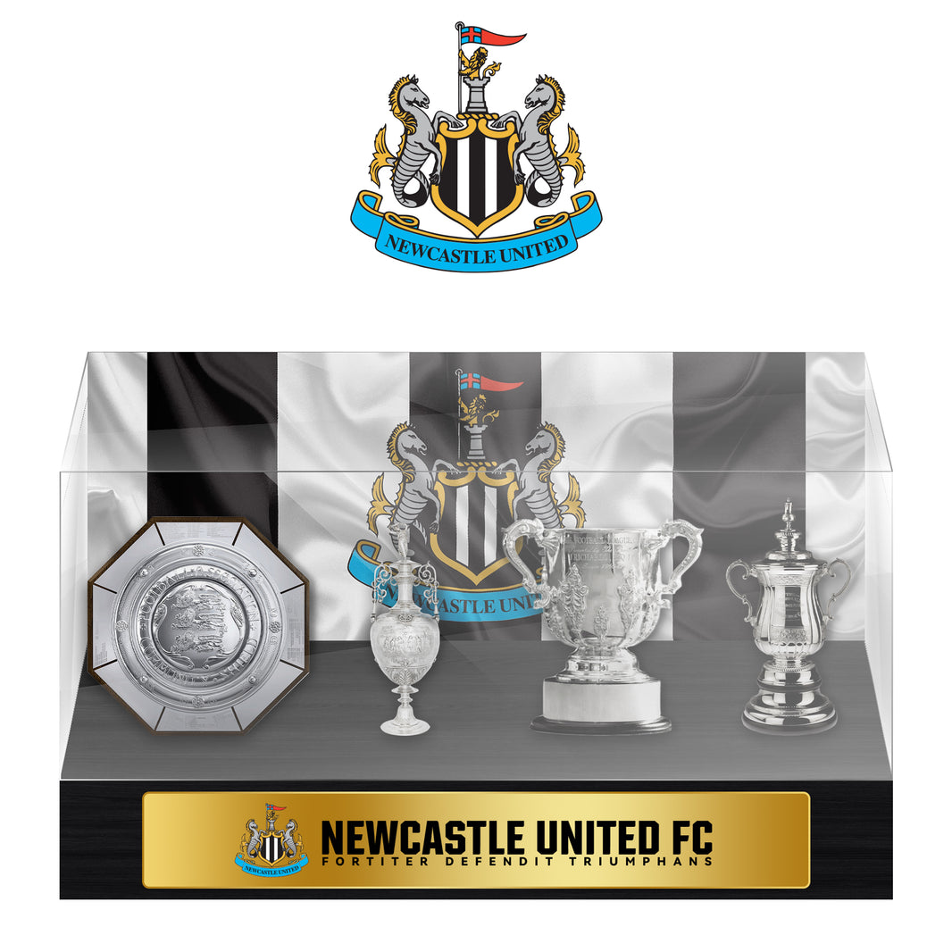 Football Trophy – Stonesing