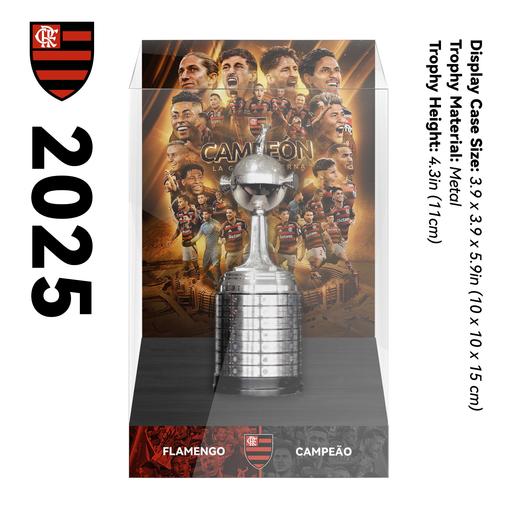 Copa Libertadores Championship Trophy Display Case – Stonesing