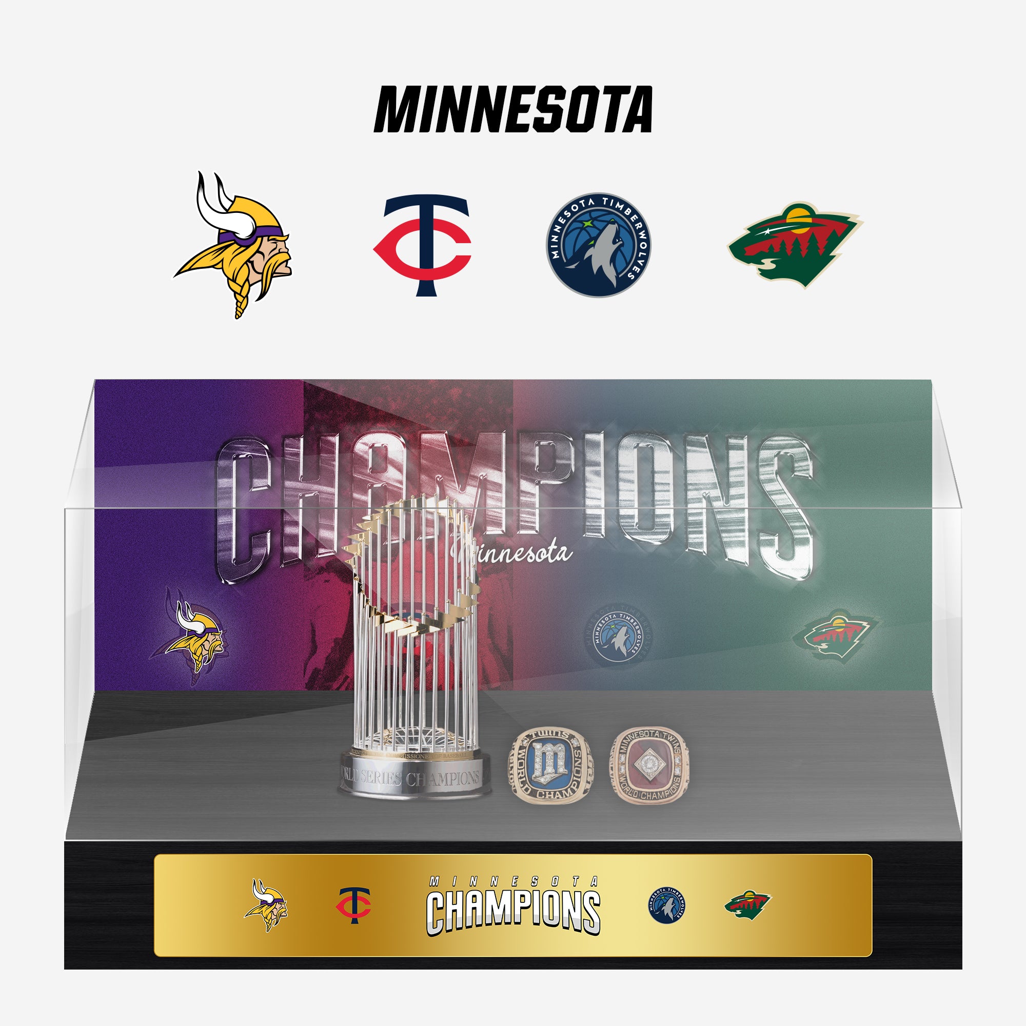 Minnesota Championship Trophy and Rings Display Case – Stonesing
